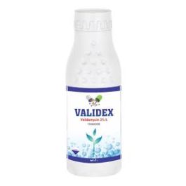 VALIDEX